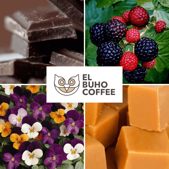 Guatemala El Volcancillo | El Buho Coffee - Packaging: 250g